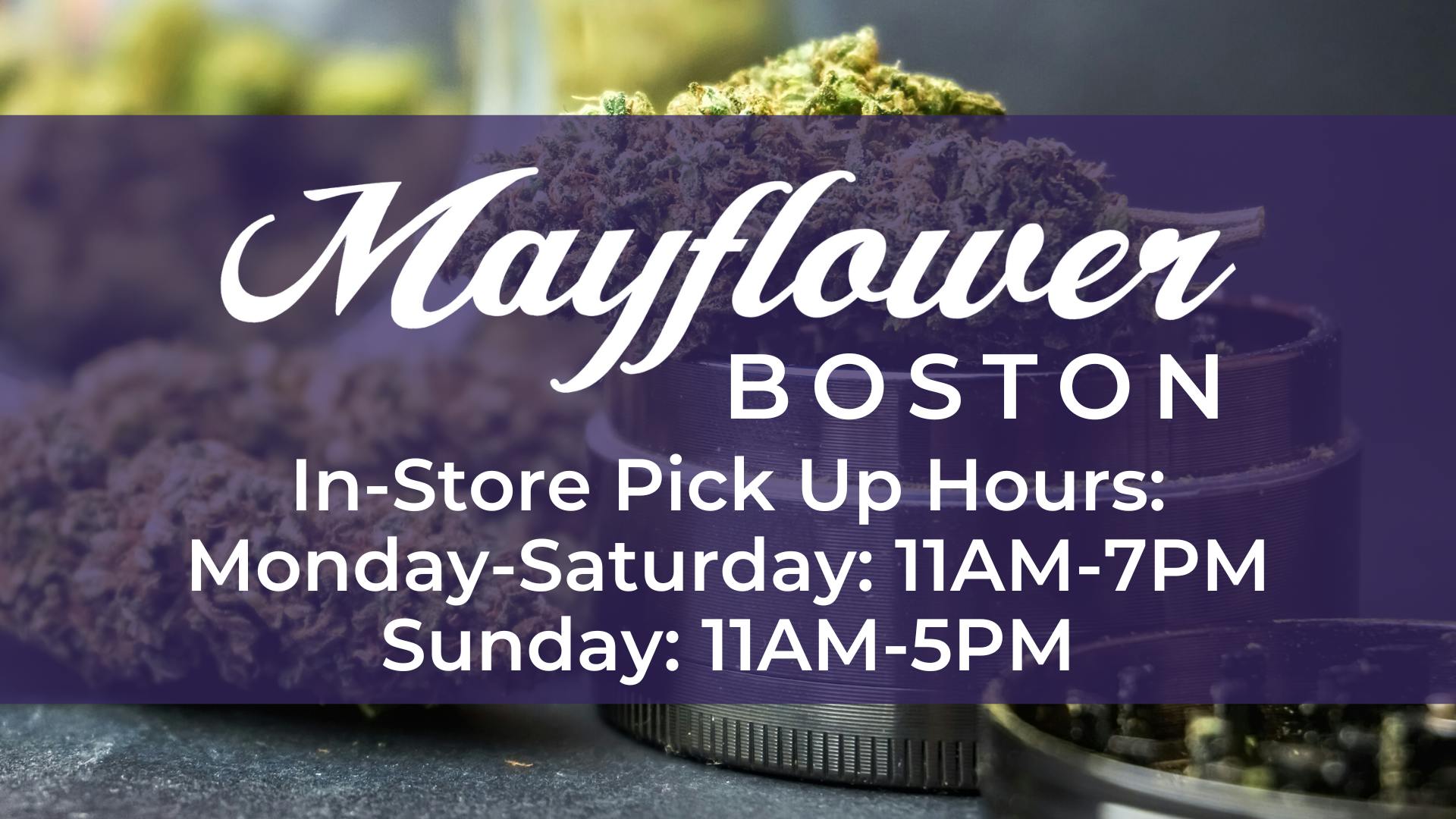 Mayflower - Boston | Allston, MA Dispensary | Leafly