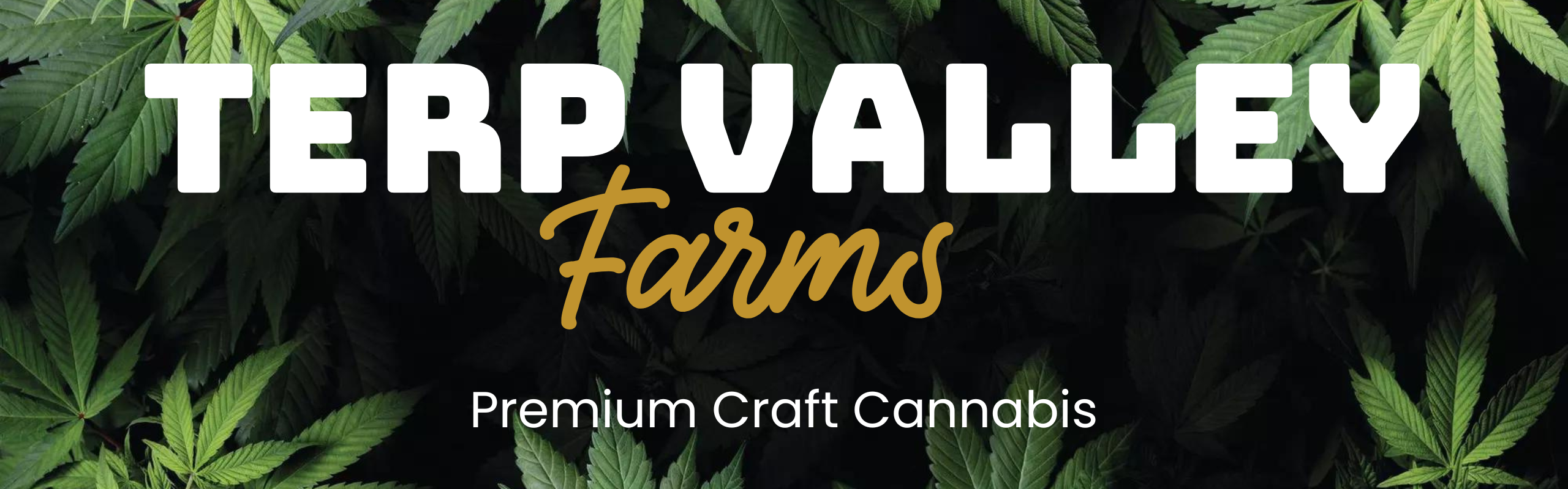 Terp Valley Farms - Delivery Deals & Discounts | Leafly