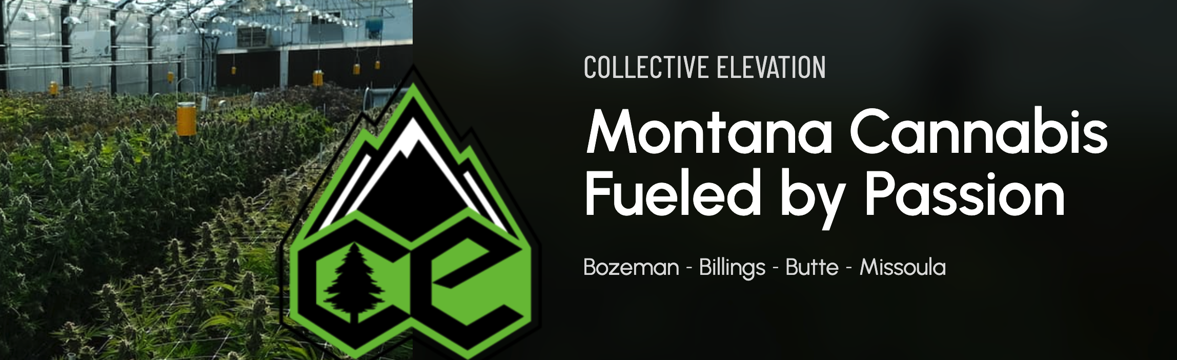 Collective Elevation - Bozeman - North 7th Ave | Dispensary Menu, Reviews & Photos