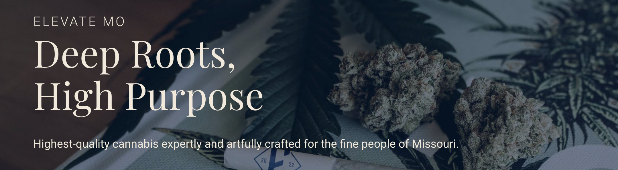 Elevate - Belton | Dispensary Menu, Reviews & Photos