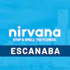 Nirvana Center - Escanaba | Dispensary Menu, Reviews & Photos
