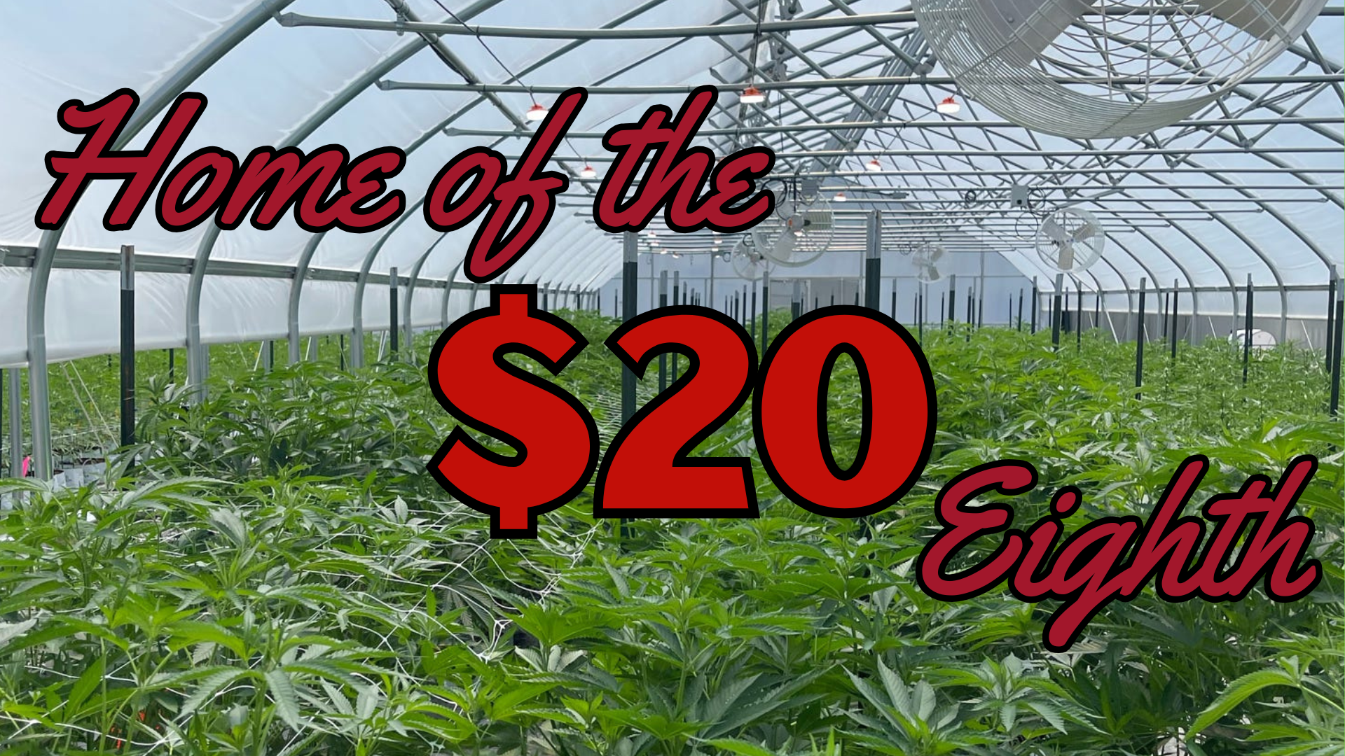 Brute's Roots (Adult Use) | Dispensary Menu, Reviews & Photos