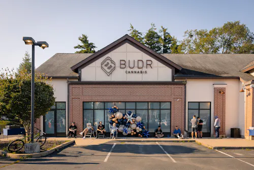 Budr Cannabis - West Hartford | Dispensary Menu, Reviews & Photos