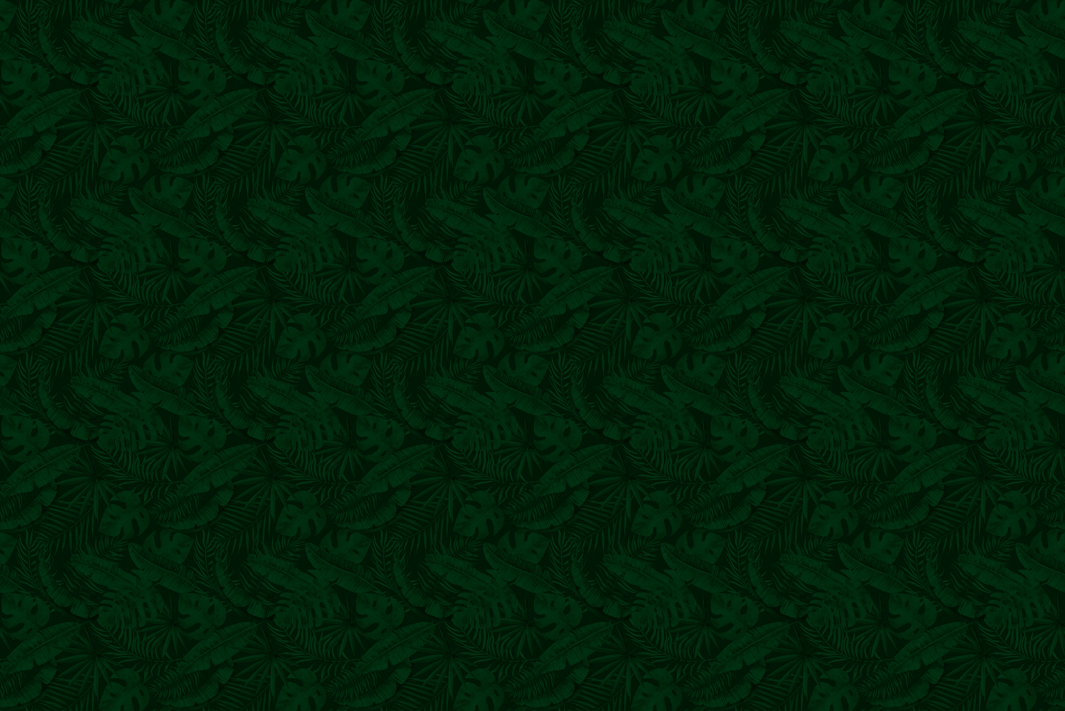 One Green Leaf | Dispensary Menu, Reviews & Photos