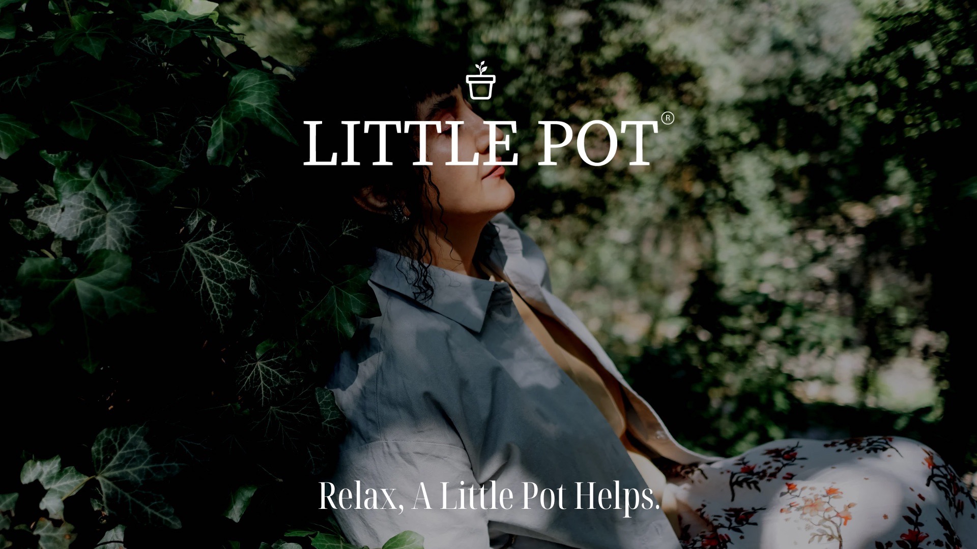 Little Pot | Dispensary Menu, Reviews & Photos