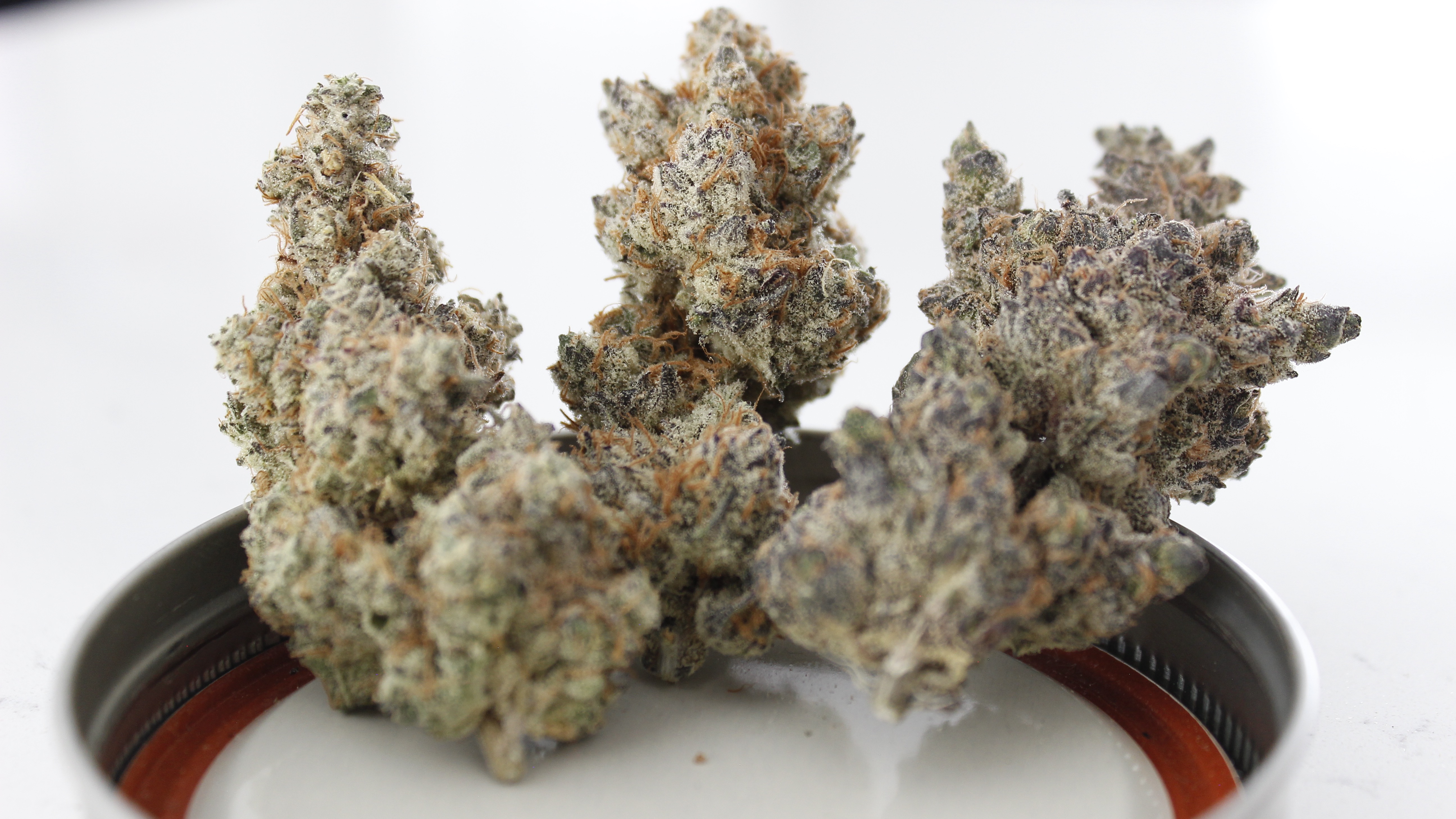 Trichome Traders Deals & Discounts | Leafly