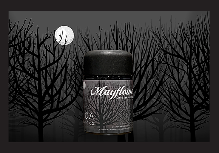 Mayflower Medicinals - Boston | Allston, MA Dispensary | Leafly