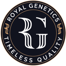 Royal Genetics: Timeless Quality | Leafly