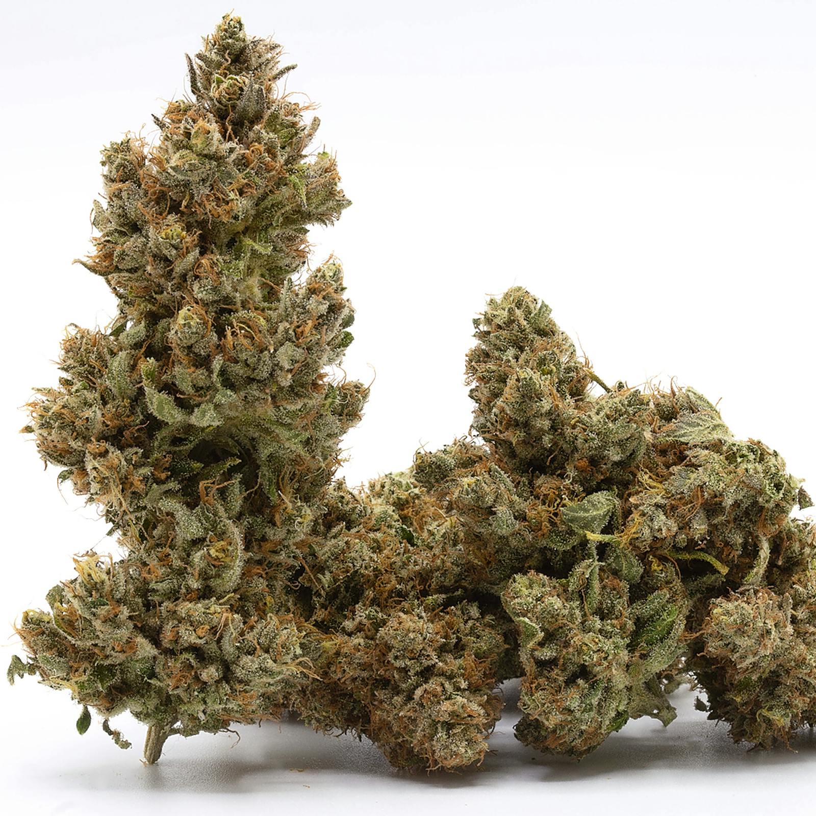 Vertical Cannabis: Triangle OG | Leafly