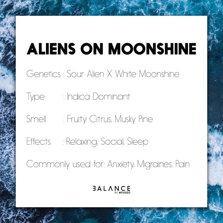 alien on moonshine
