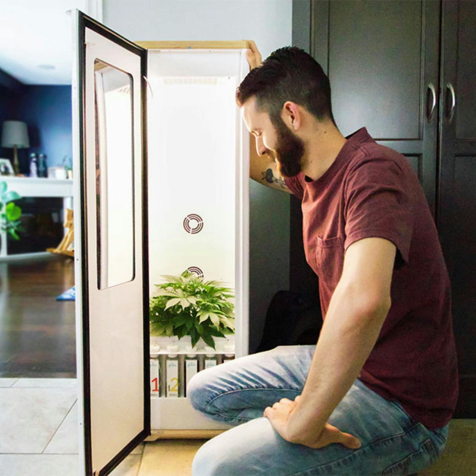 Grobo: Grobo Premium Hydroponic Grow Box | Leafly