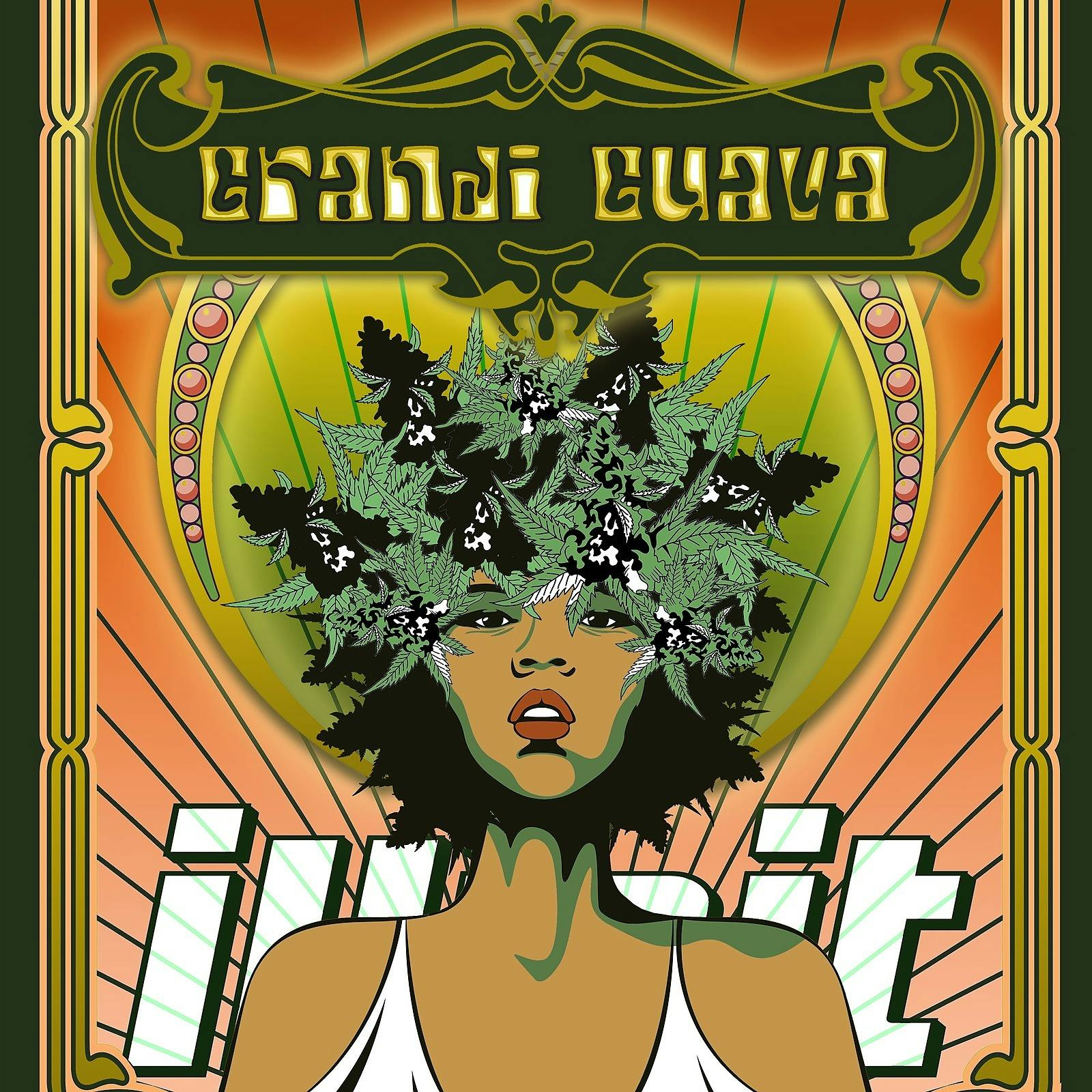 ILLICIT: Grandi Guava Smokos 5pk x 0.5g | Leafly