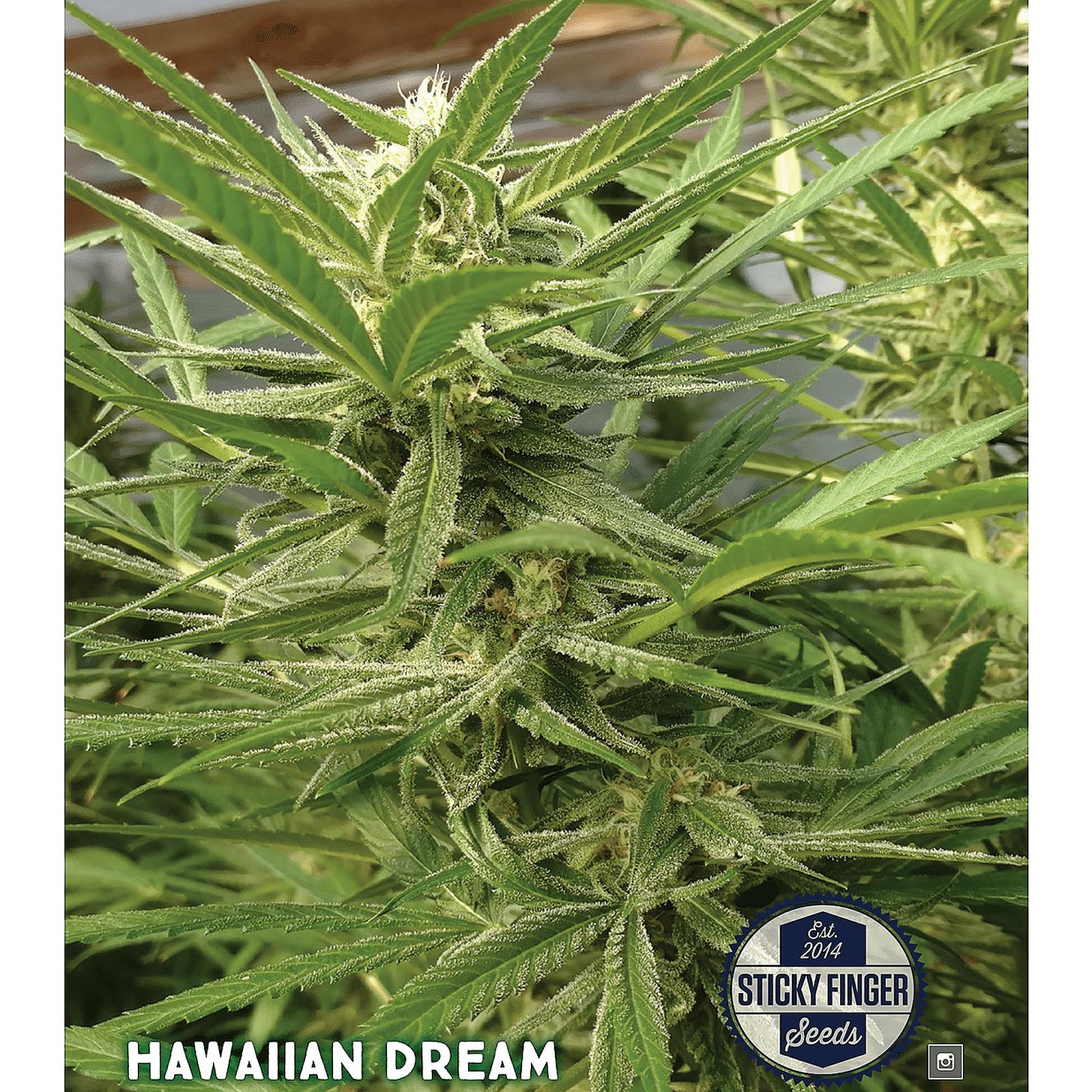 Sticky Finger Seeds: Hawaiian Dream | Leafly