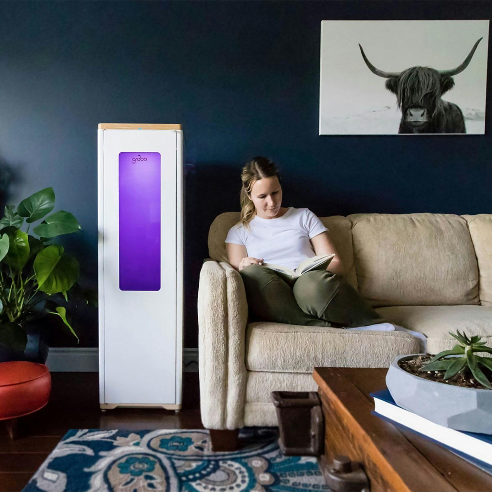 Grobo: Grobo Premium Hydroponic Grow Box | Leafly