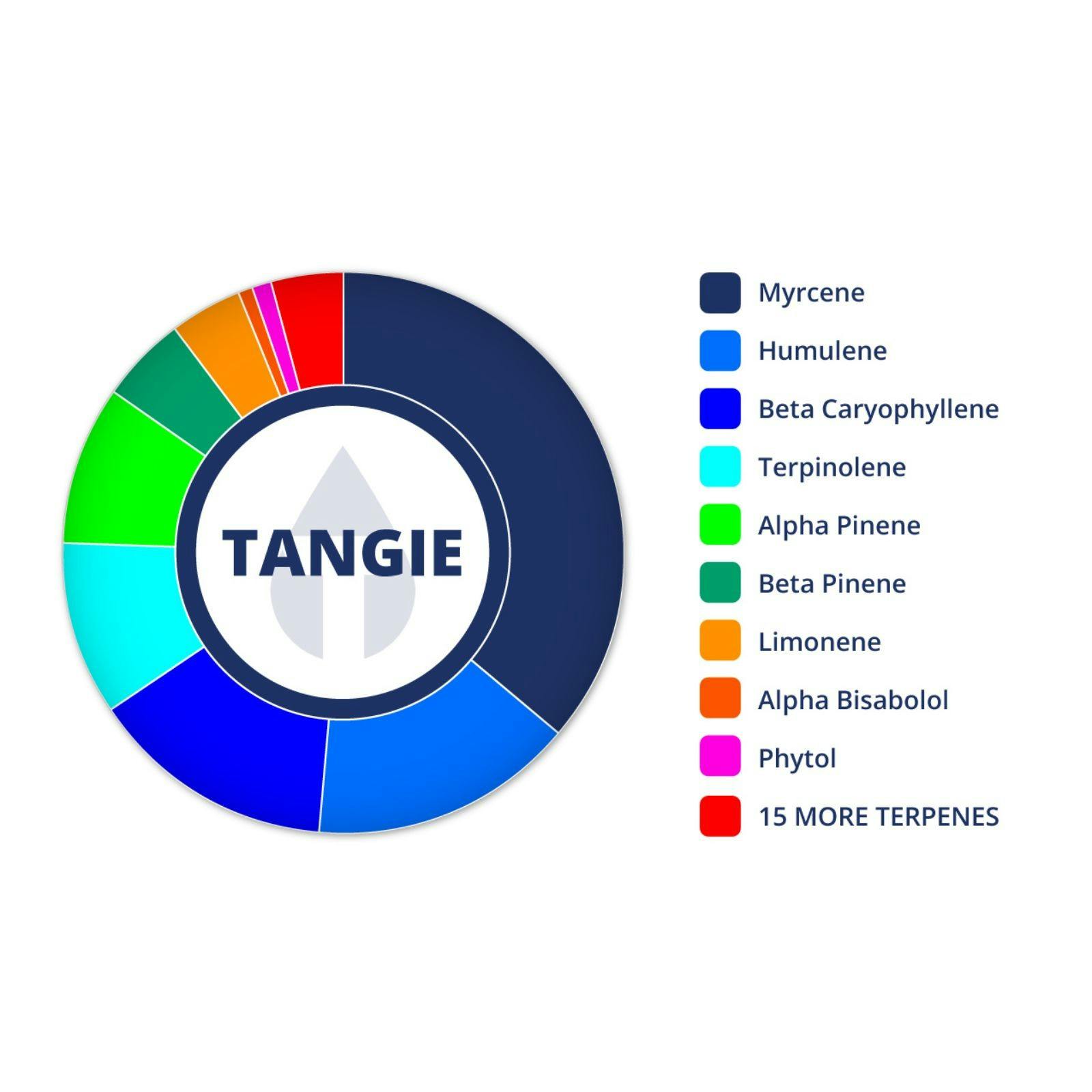 True Terpenes: Tangie Profile Strain | Leafly