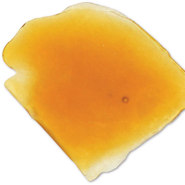 Nepenthe Extracts: Nepenthe Grape Ape Shatter 1g | Leafly