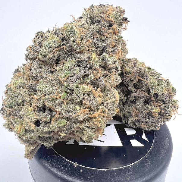 Oregon Roots: Alien Dreams | Leafly