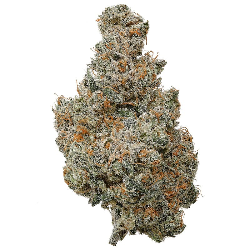 Hemp Hop: Indoor Hawaiian Haze | Leafly