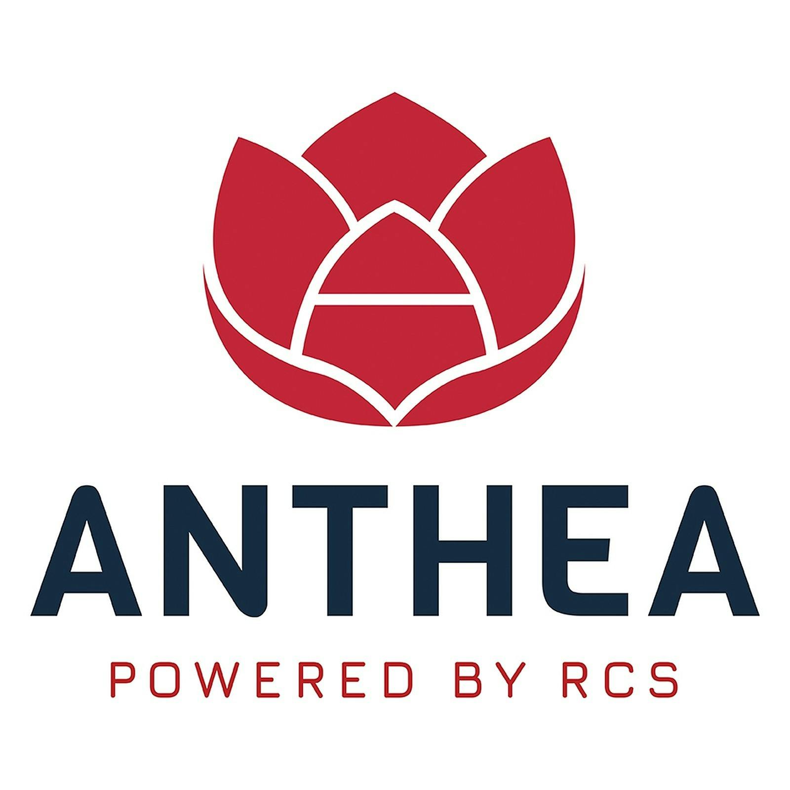 Anthea: Anthea | Leafly