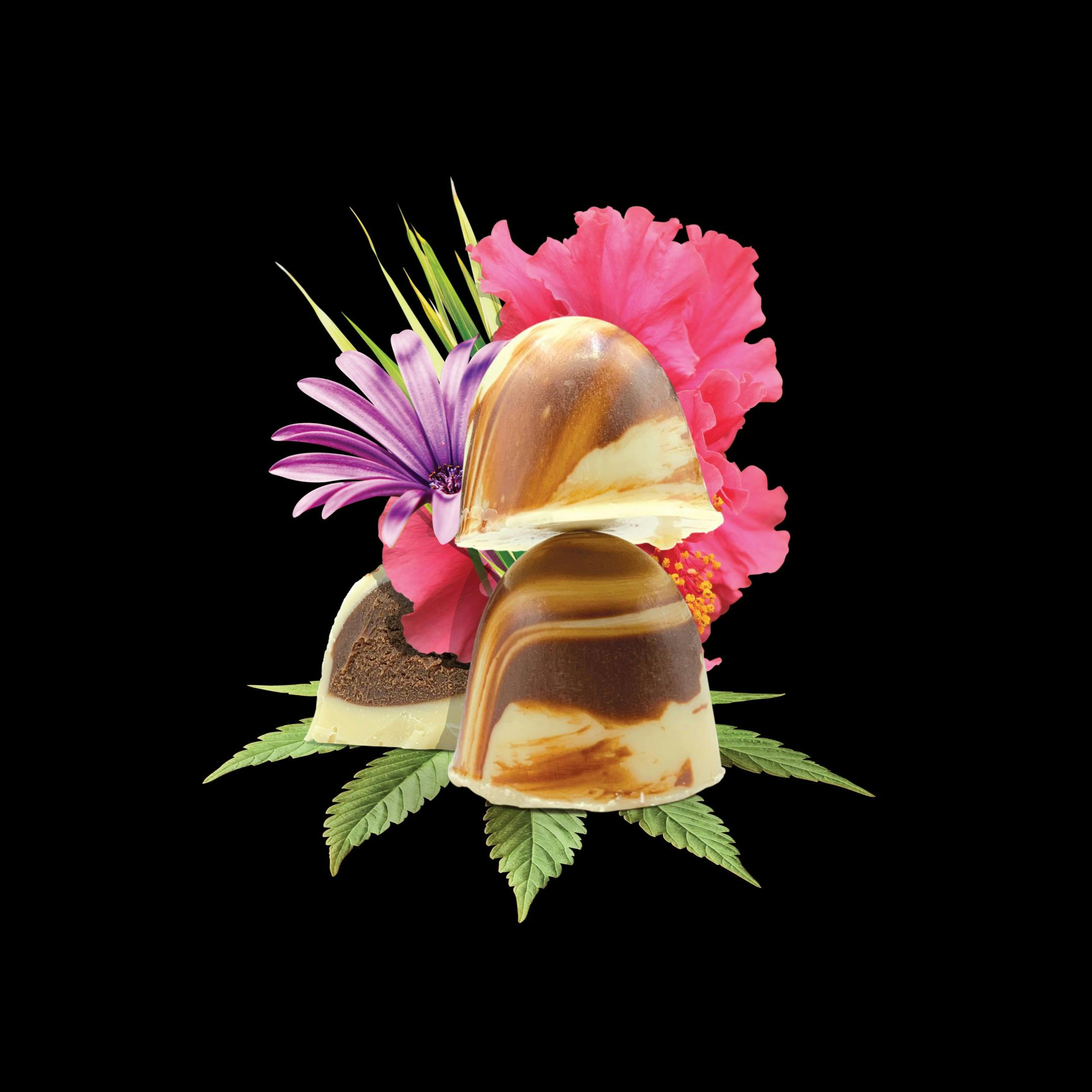 Northwest Cannabis Solutions: Funky Monkey Tropic Truffle Flower | Leafly