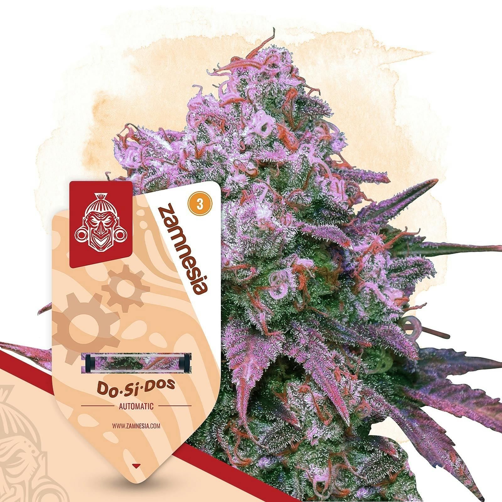Zamnesia: Do-Si-Dos Automatic by Zamnesia Seeds | Leafly