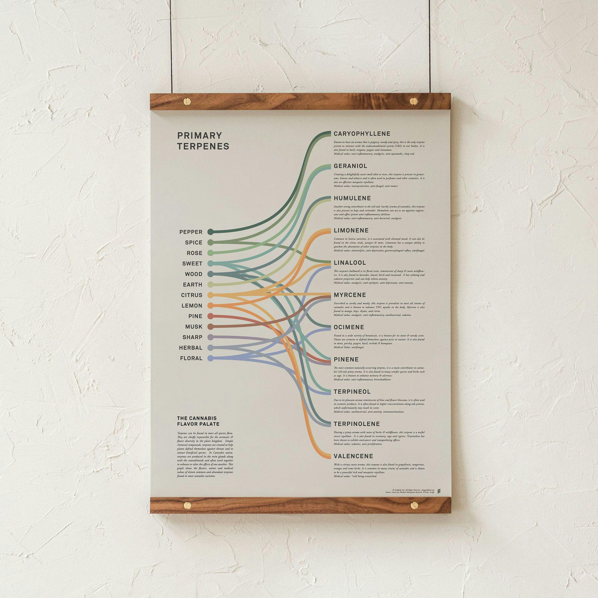 Goldleaf: Terpene Chart, Cannabis Flavor Infographic Print / Poster ...