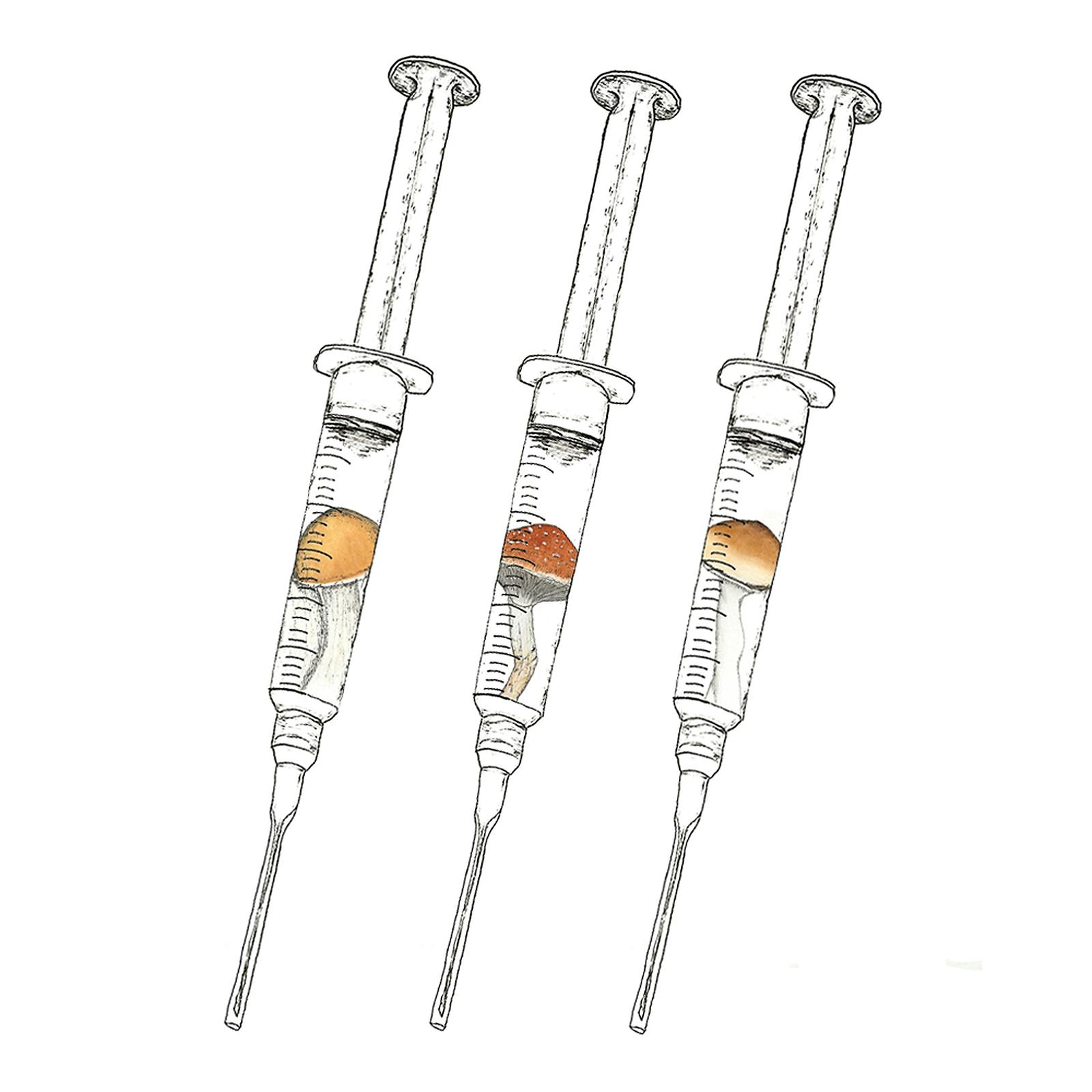 Fungushead: Beginner Syringe Mixpack | Leafly