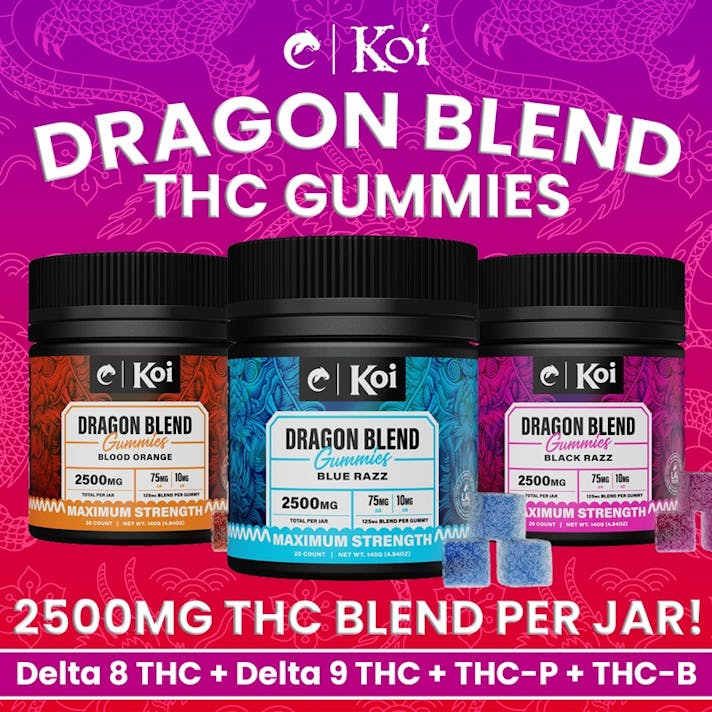 koi dragon blend
