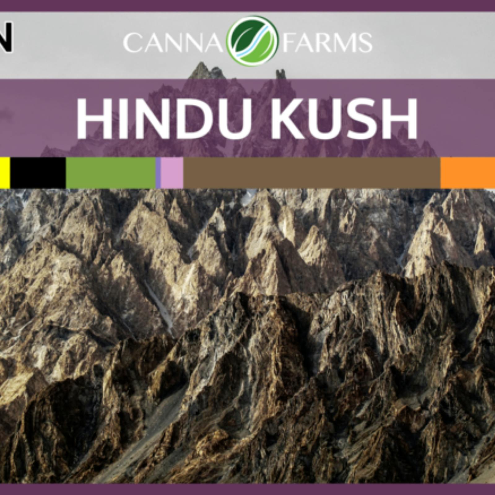 Canna Farms: Hindu Kush | Leafly
