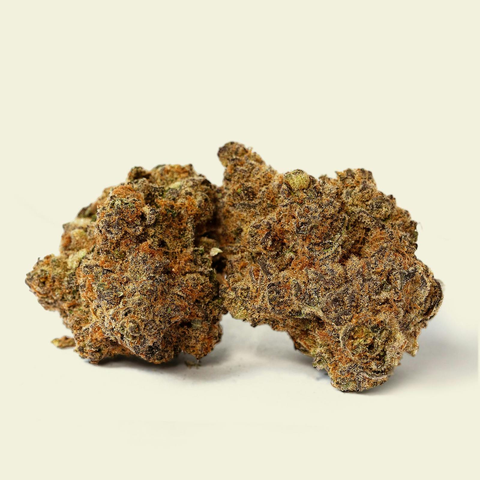 Houseplant: Azores High | Leafly