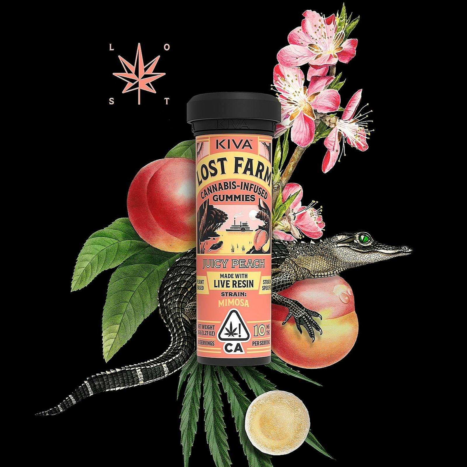 Lost Farm: 10mg Lost Farm 'Mimosa x Juicy Peach' Live Resin Gummies ...