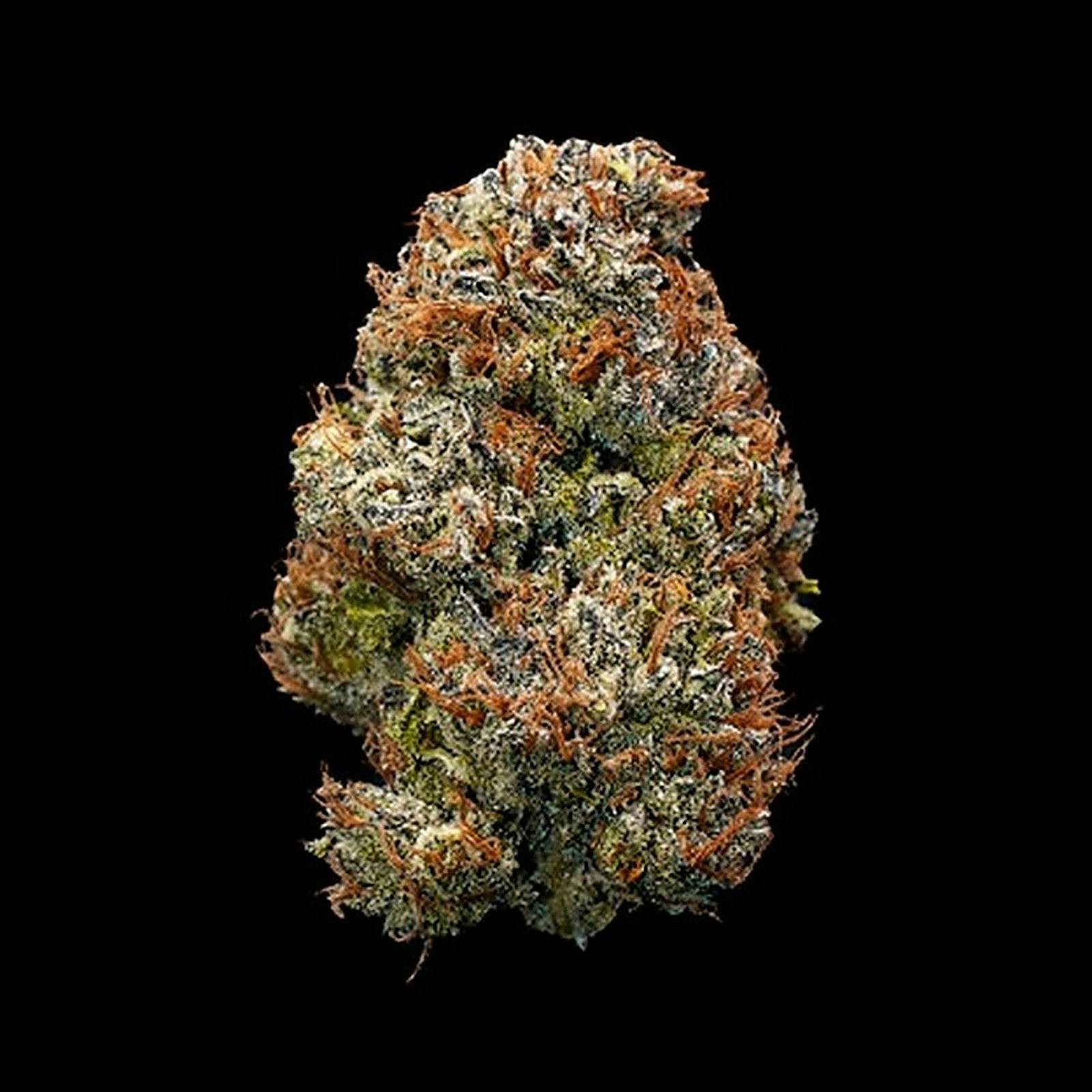 Oregon Roots: Scary Cherry OG | Leafly