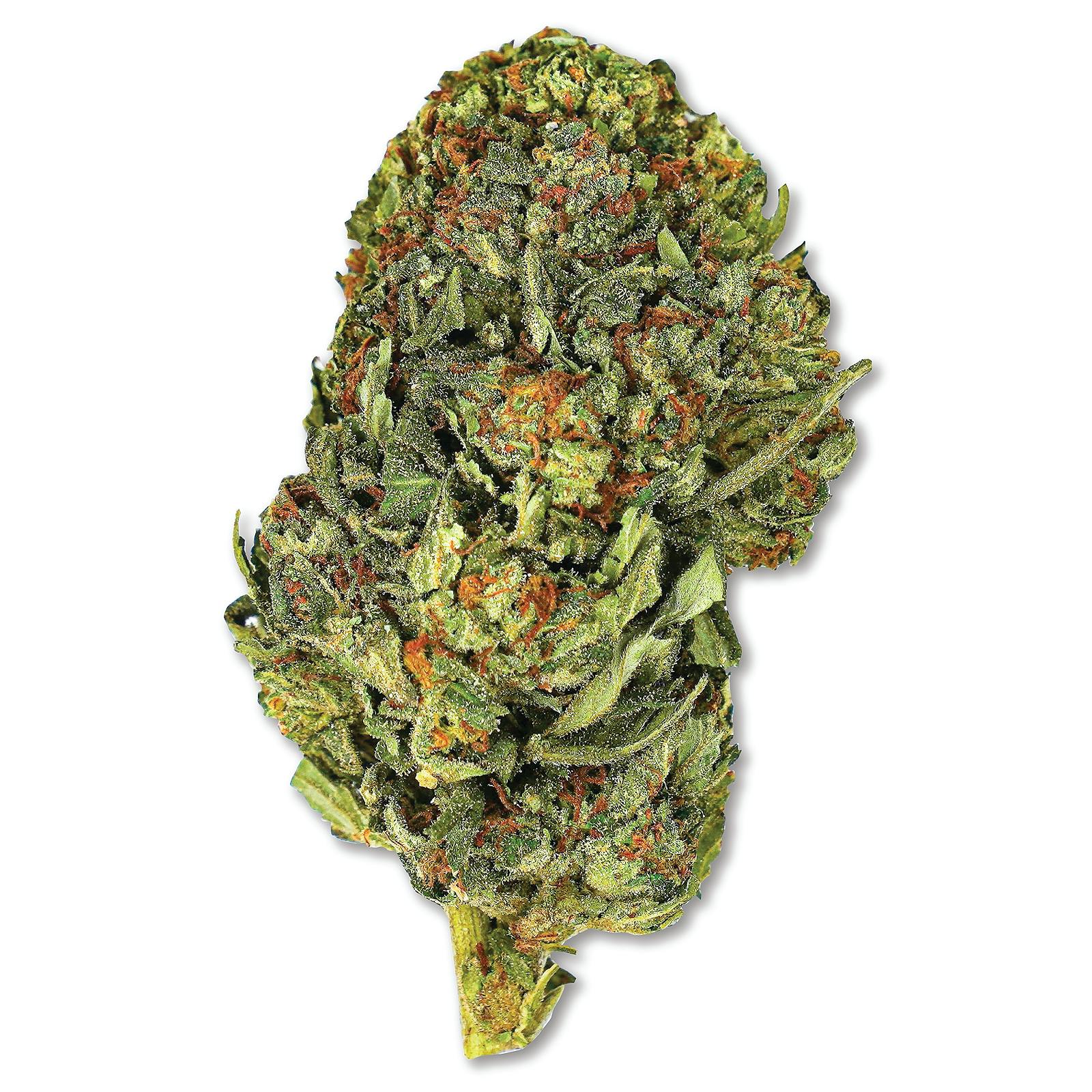 Nepenthe Extracts: Nepenthe Horchata Flower 1 oz. | Leafly