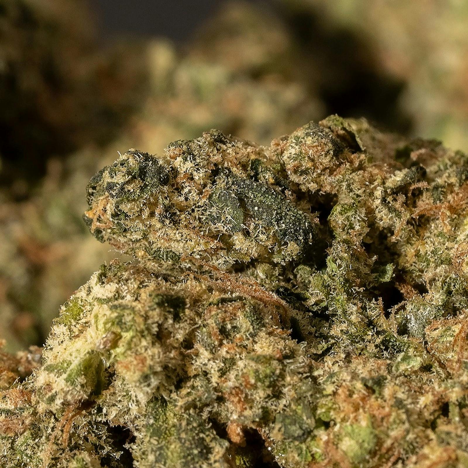 Houseplant: Strawberry Moon | Leafly