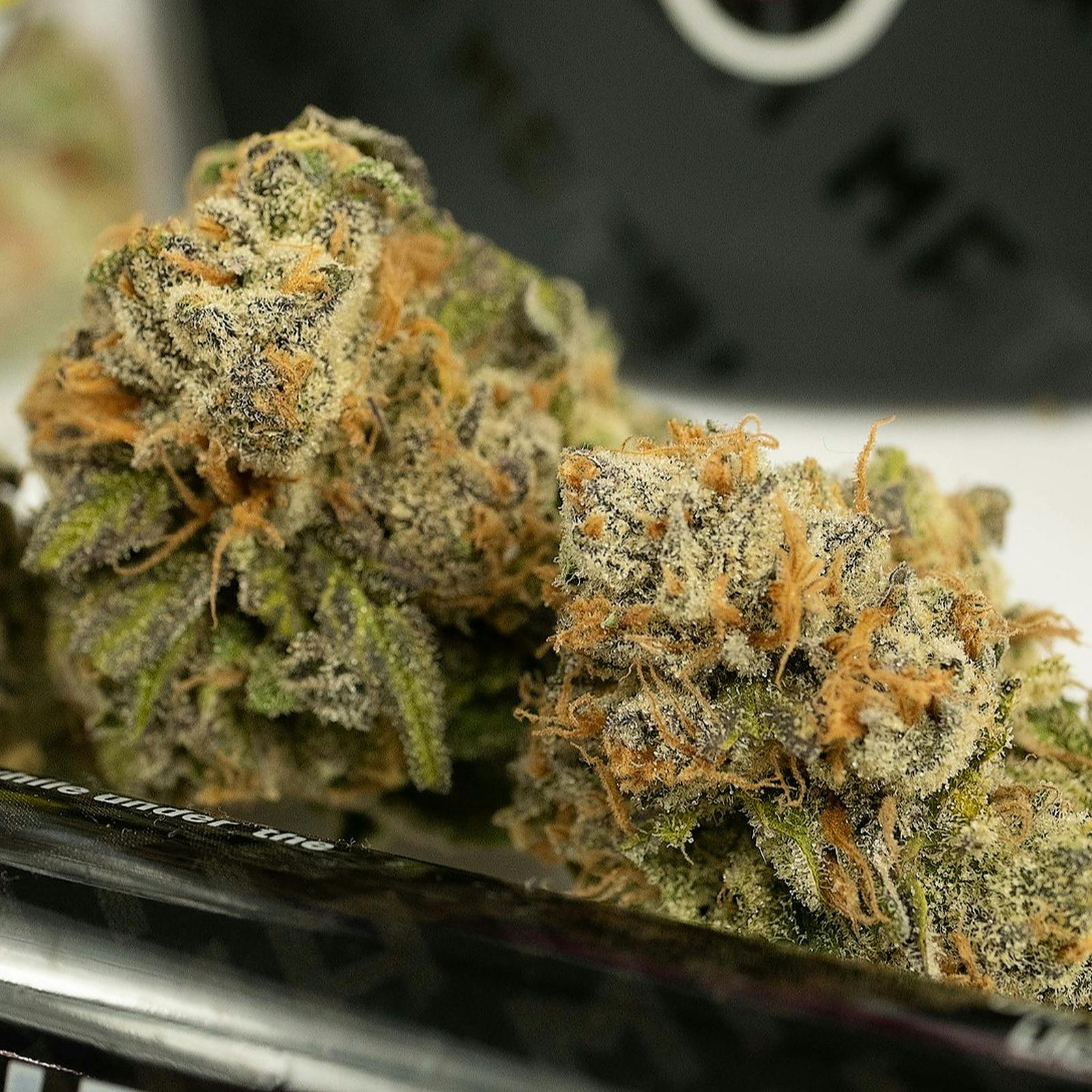 Matriarch Premium Cannabis: Rainbow Chip | Leafly