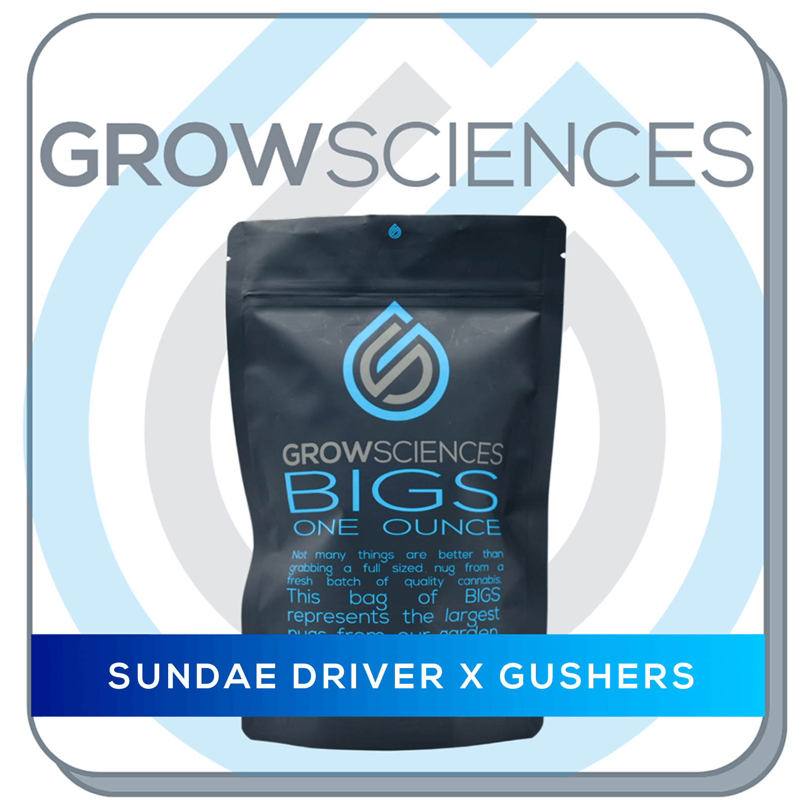 Grow Sciences: Sundae Driver x Gushers Bigs | Leafly