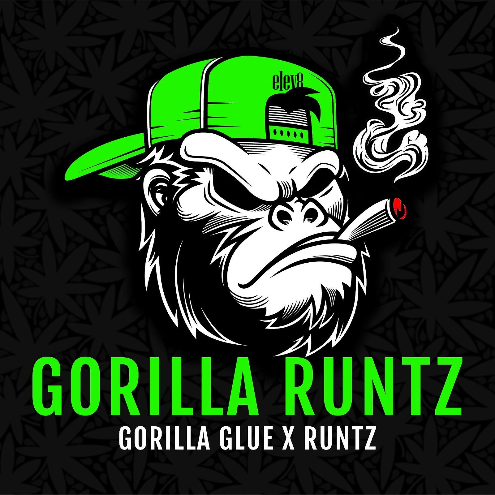 Elev8 Seeds: Gorilla Runtz | Leafly