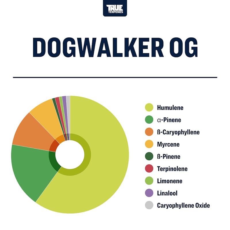 True Terpenes: Dogwalker OG Profile Strain | Leafly