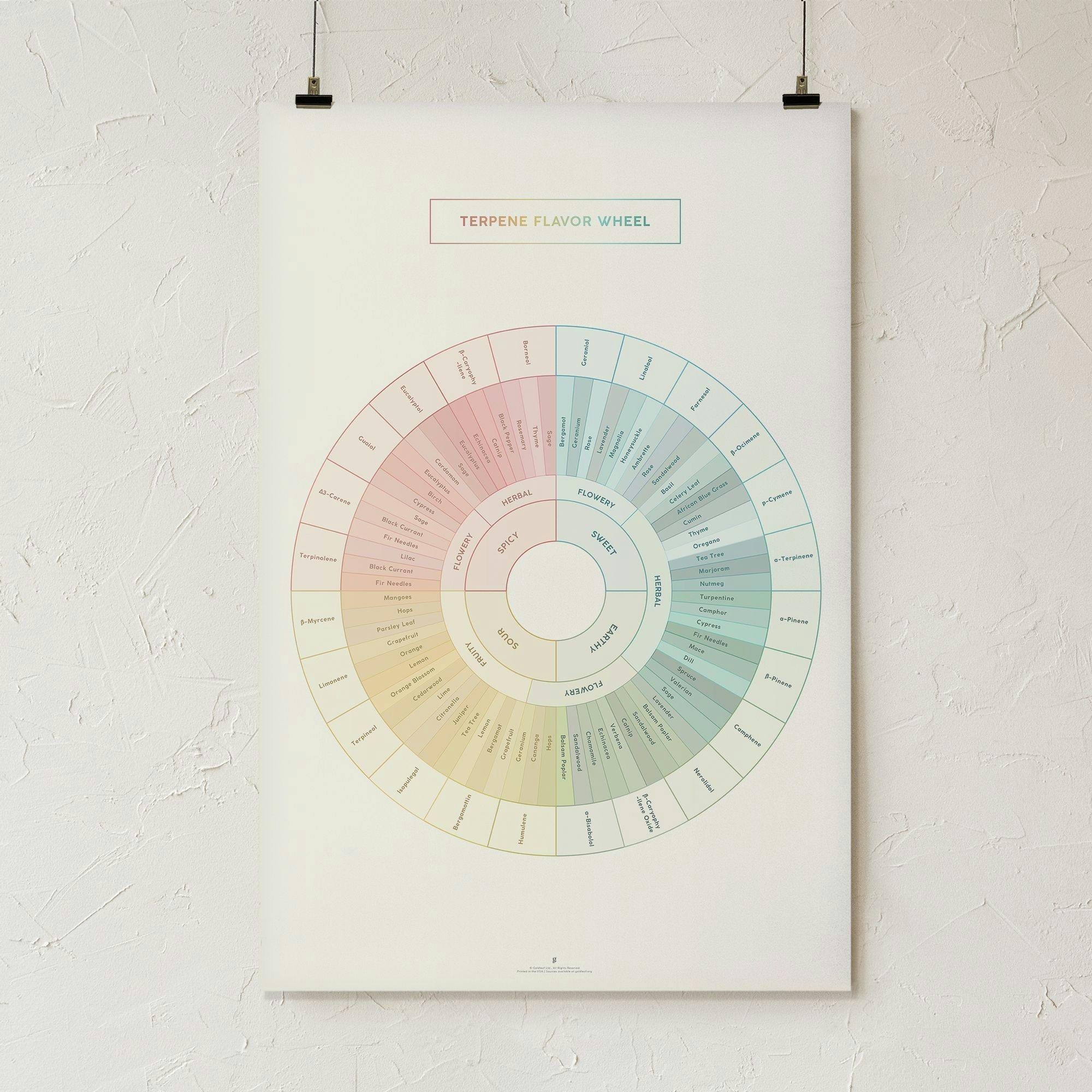 Goldleaf: Terpene Flavor Wheel Diagram Poster/Print | Leafly