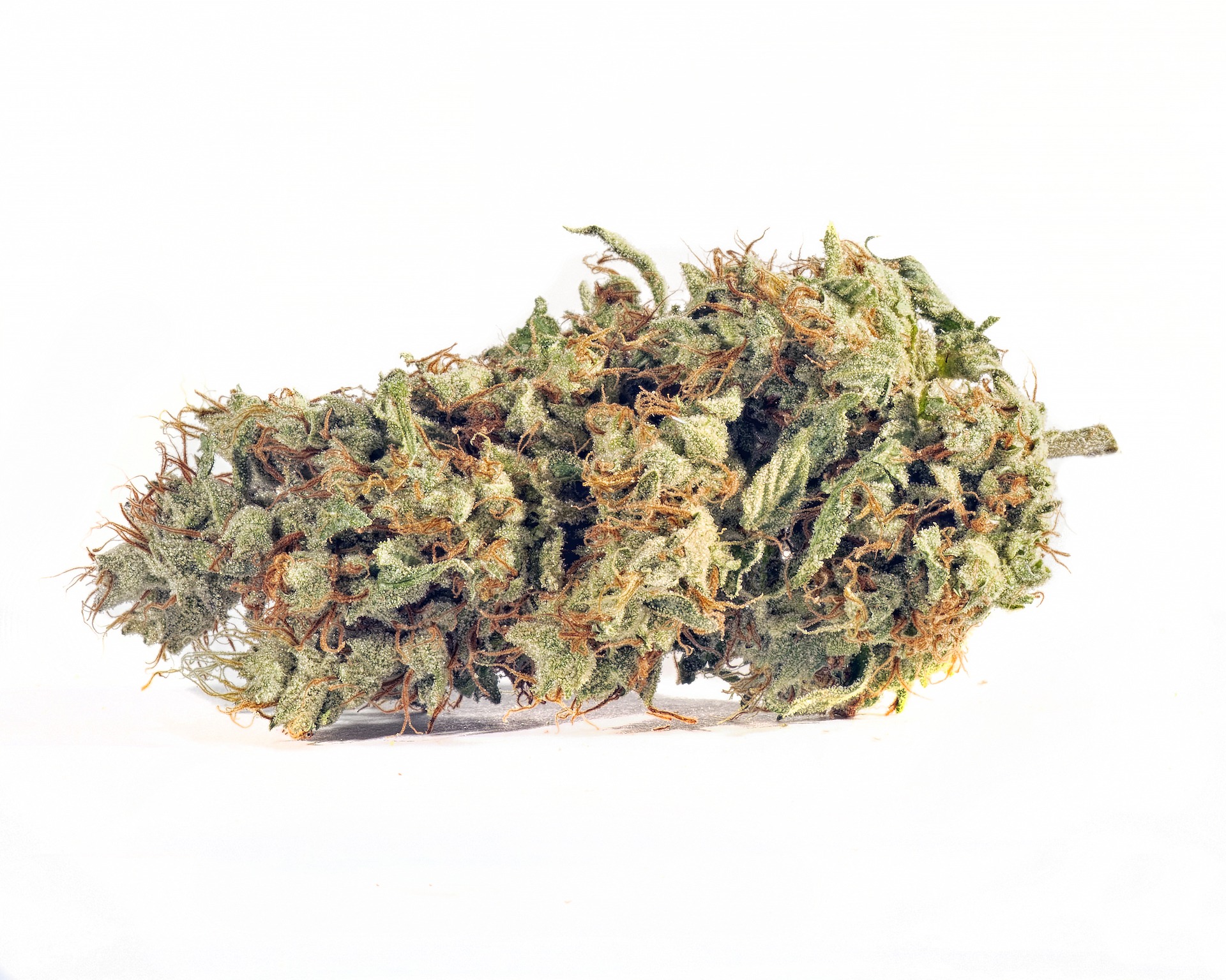 Fortissimo Weed Strain Information | Leafly