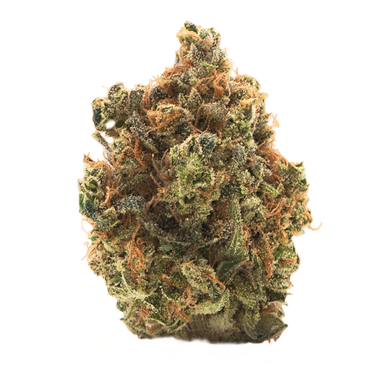 Flora d’ Explora Weed Strain Information | Leafly