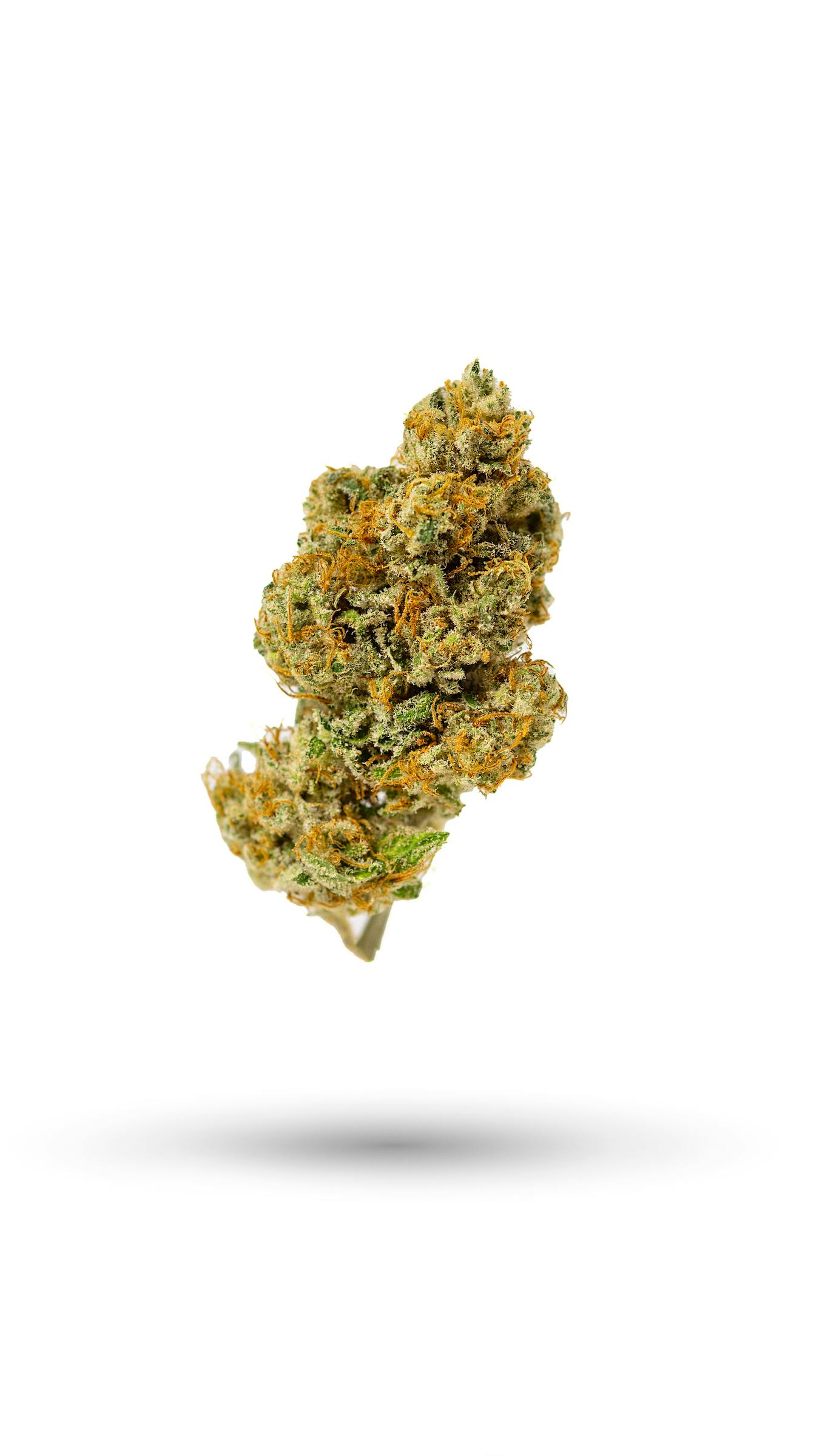 Palisade Poison Weed Strain Information | Leafly