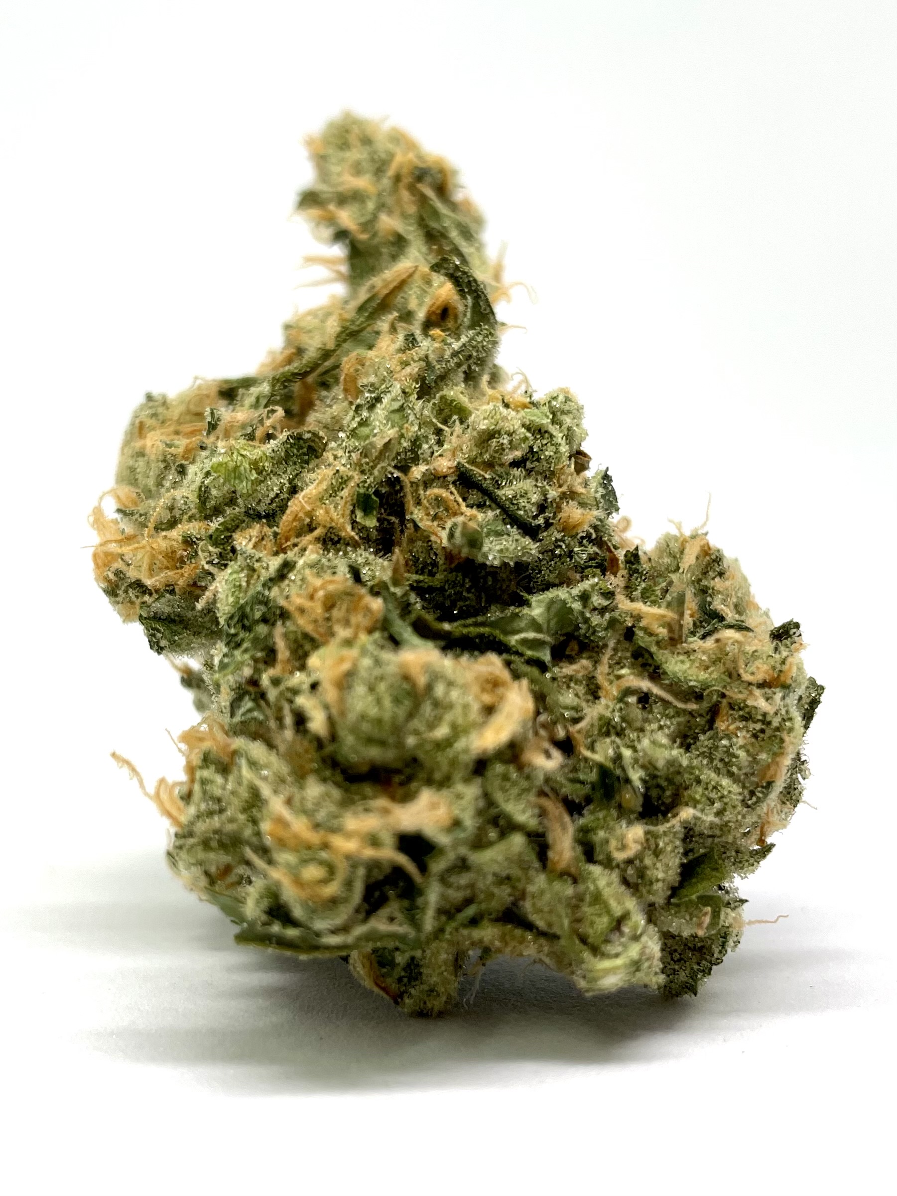 Orange Safari Weed Strain Information | Leafly