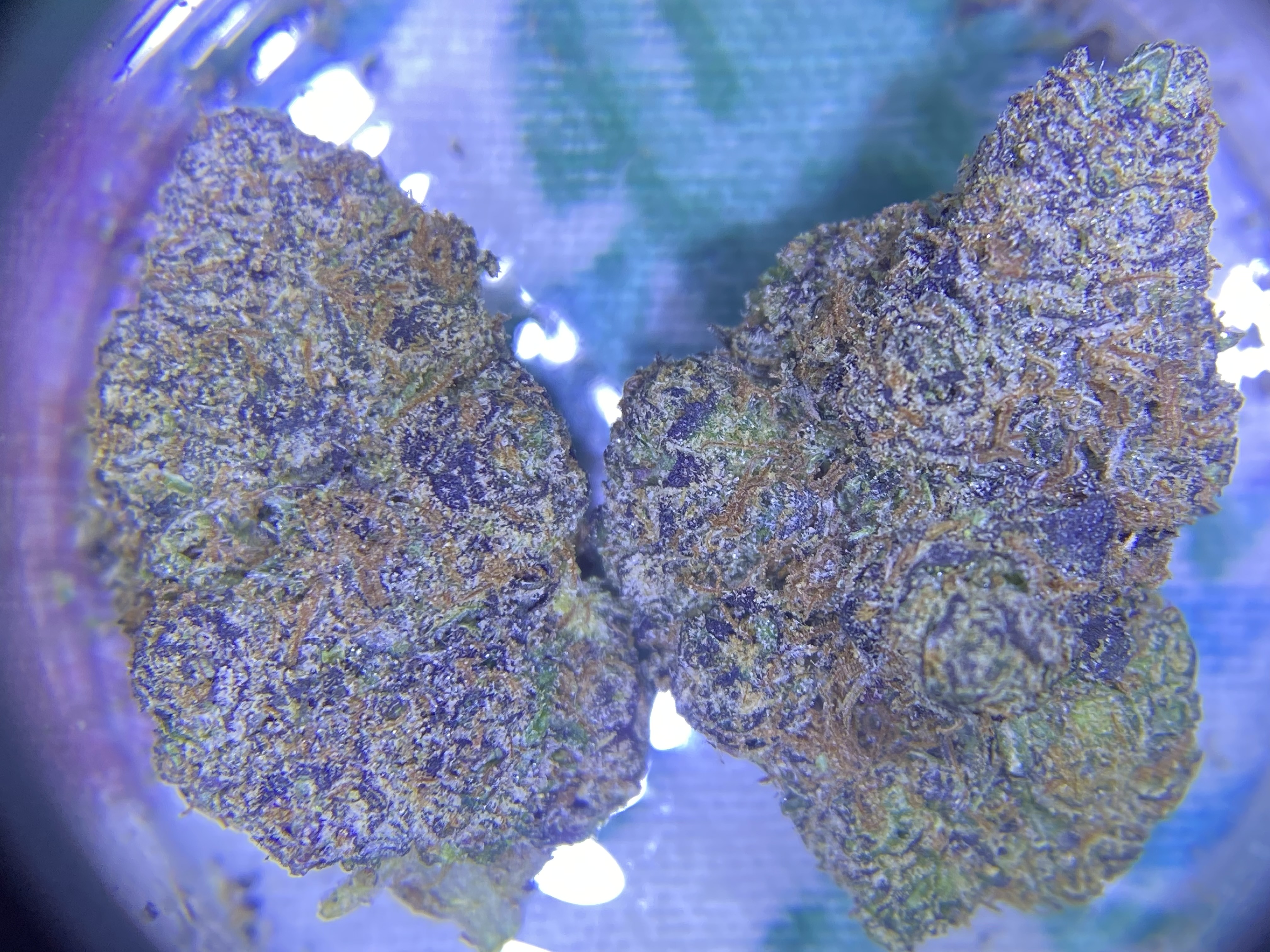 92 Demon Weed Strain Information | Leafly