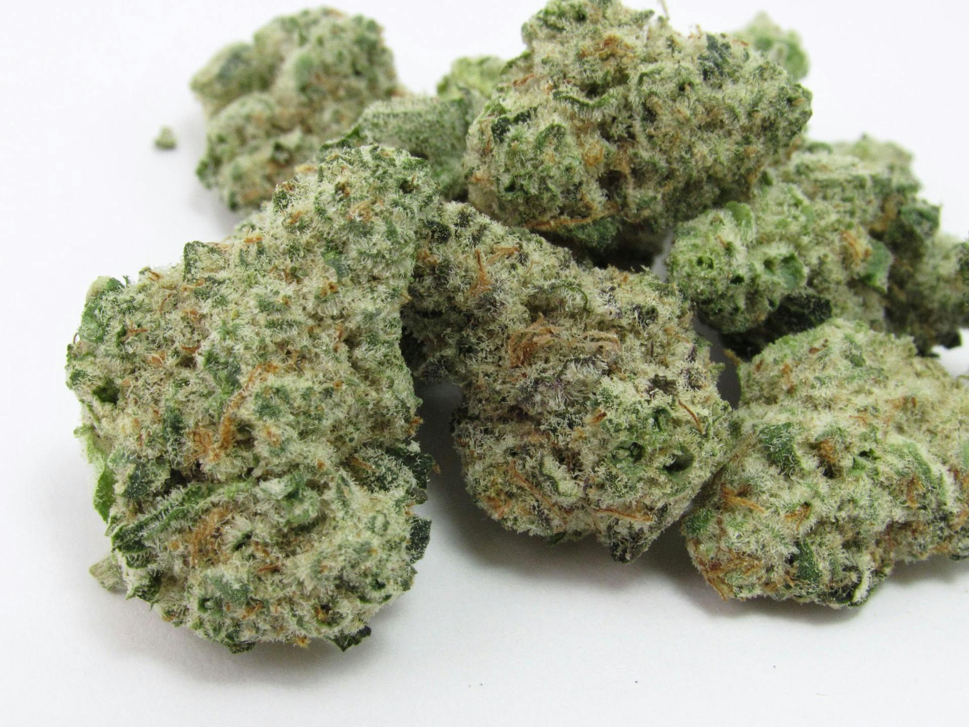 Mango Fruz Weed Strain Information | Leafly