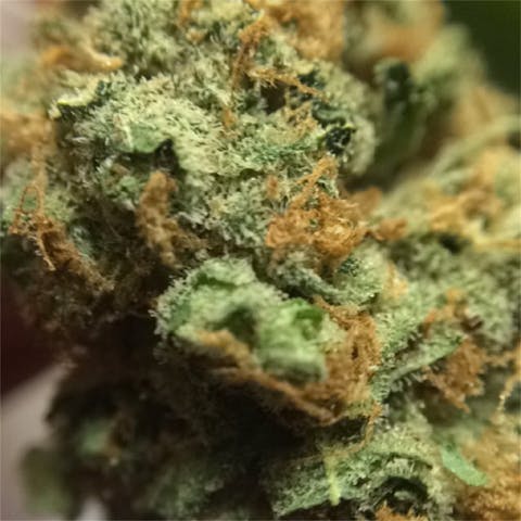 24k Gold aka 24k Weed Strain Information | Leafly