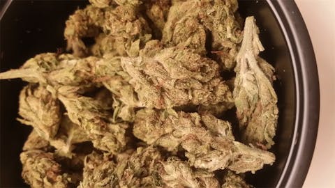 3 Kings aka Three Kings Weed Strain Information | Leafly