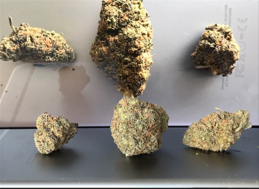 Photos of 3X Crazy Weed Strain Buds | Leafly