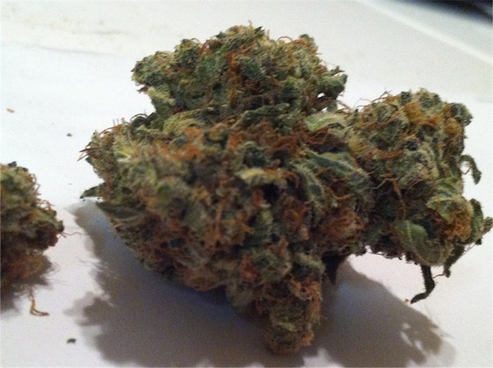 Photos of Ed Rosenthal Super Bud Weed Strain Buds | Leafly