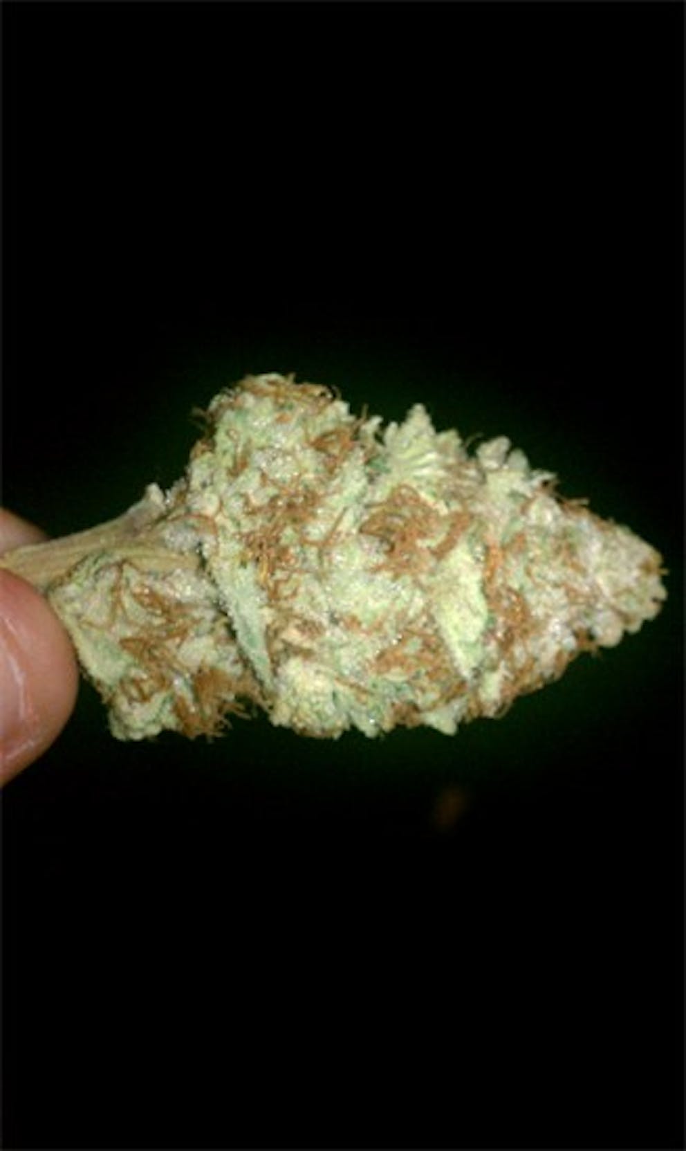 Photos of The Hog Weed Strain Buds | Leafly